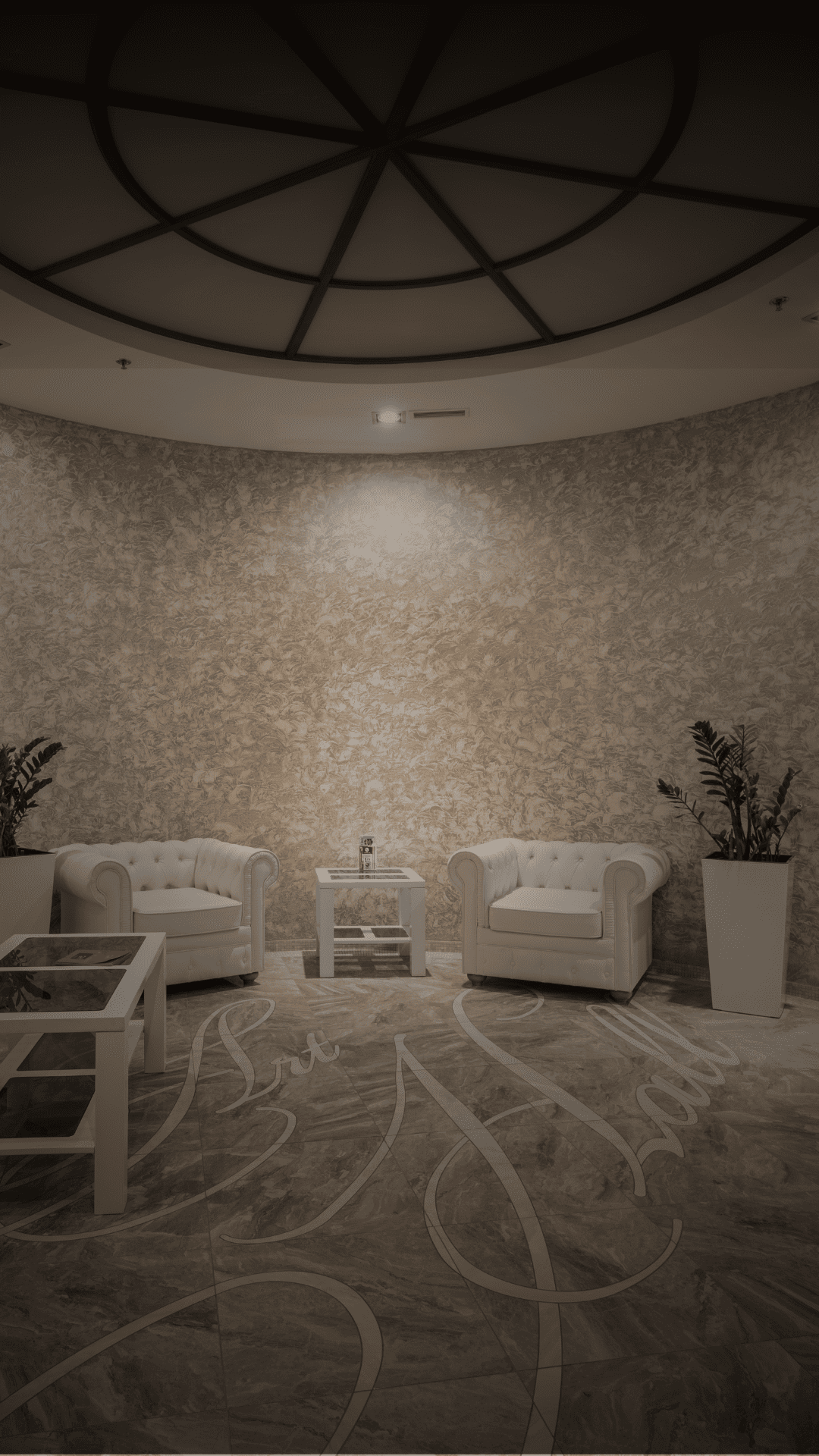 Vivid Decor